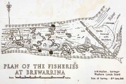 Exceptional Aboriginal fish traps at Brewarrina – freewheeling
